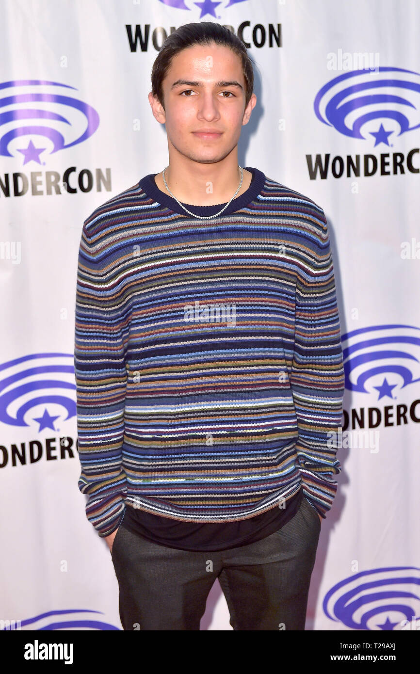Anaheim, USA. 29th Mar, 2019. Aramis Knight at the Photocall for the ...