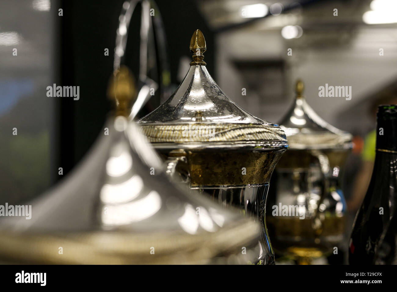 Motorsports: FIA Formula One World Championship 2019, Grand Prix of ...