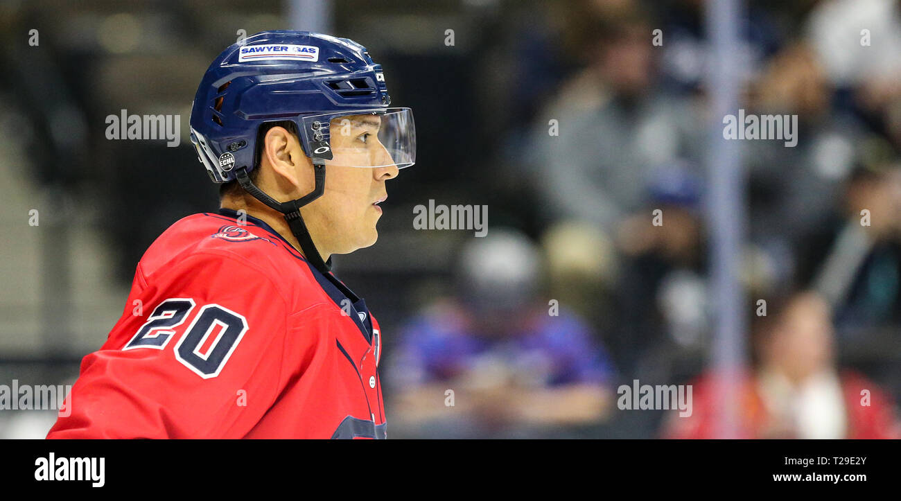 Jacksonville Icemen forward Wacey Rabbit (20) awaits a faceoff during ...