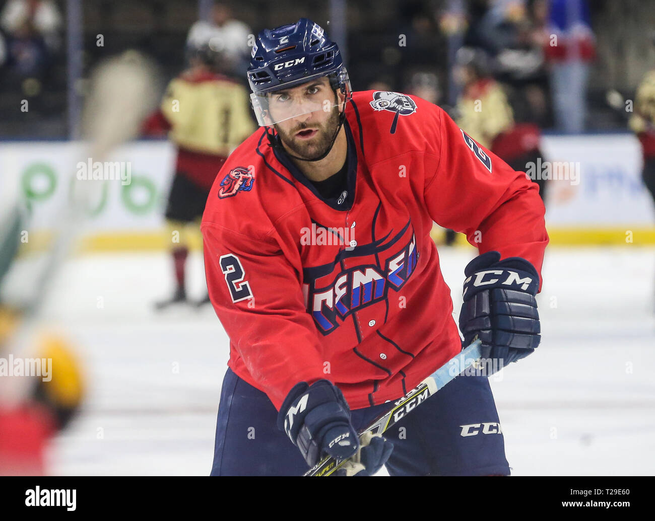 Jacksonville Icemen defenseman Kyle Shapiro (2) during the first period ...