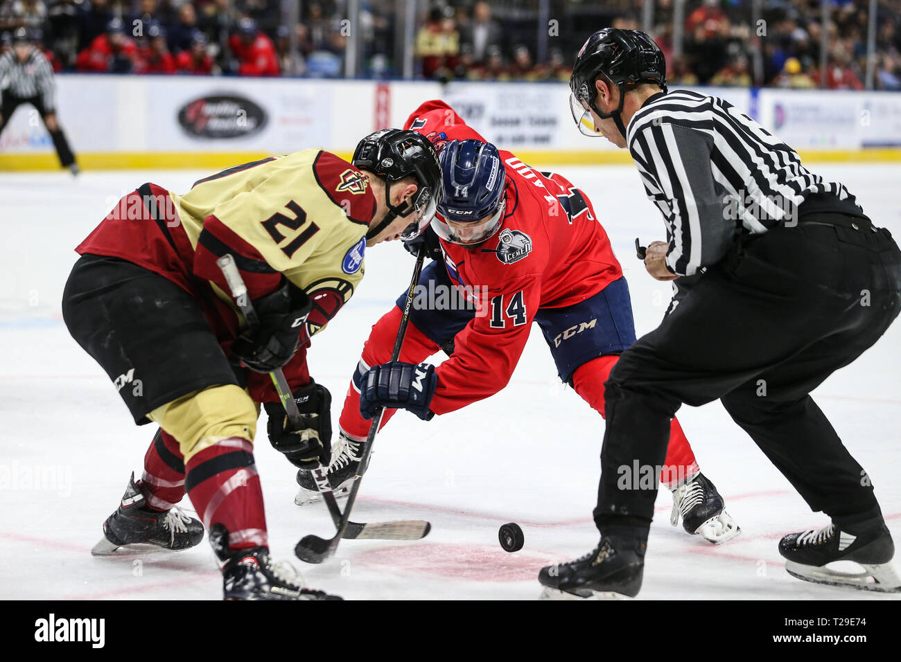 Matt mccullough hi-res stock photography and images - Alamy