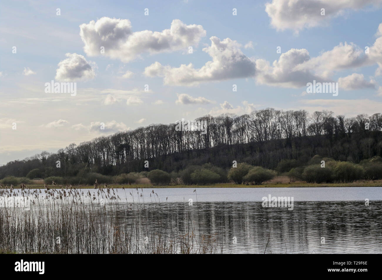 River Quoile, Downpatrick, County Down, Northern Ireland. 31 March 2019 ...