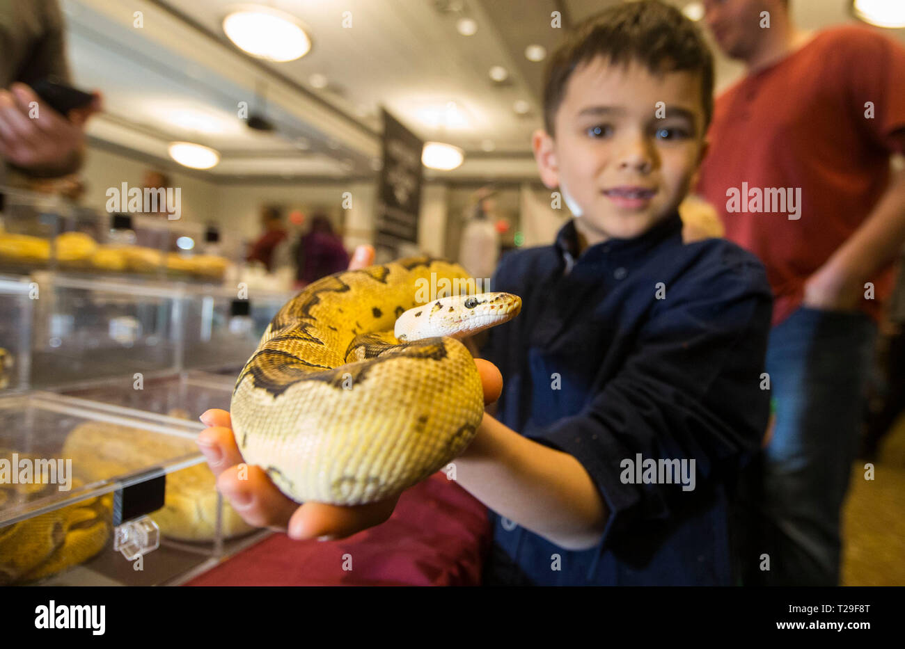 Toronto, Canada. 31st Mar, 2019. A boy poses for photos with a pet ...