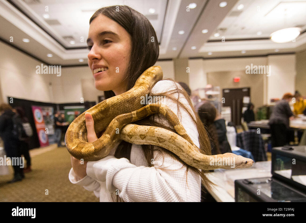 Learn about snake hi-res stock photography and images - Alamy