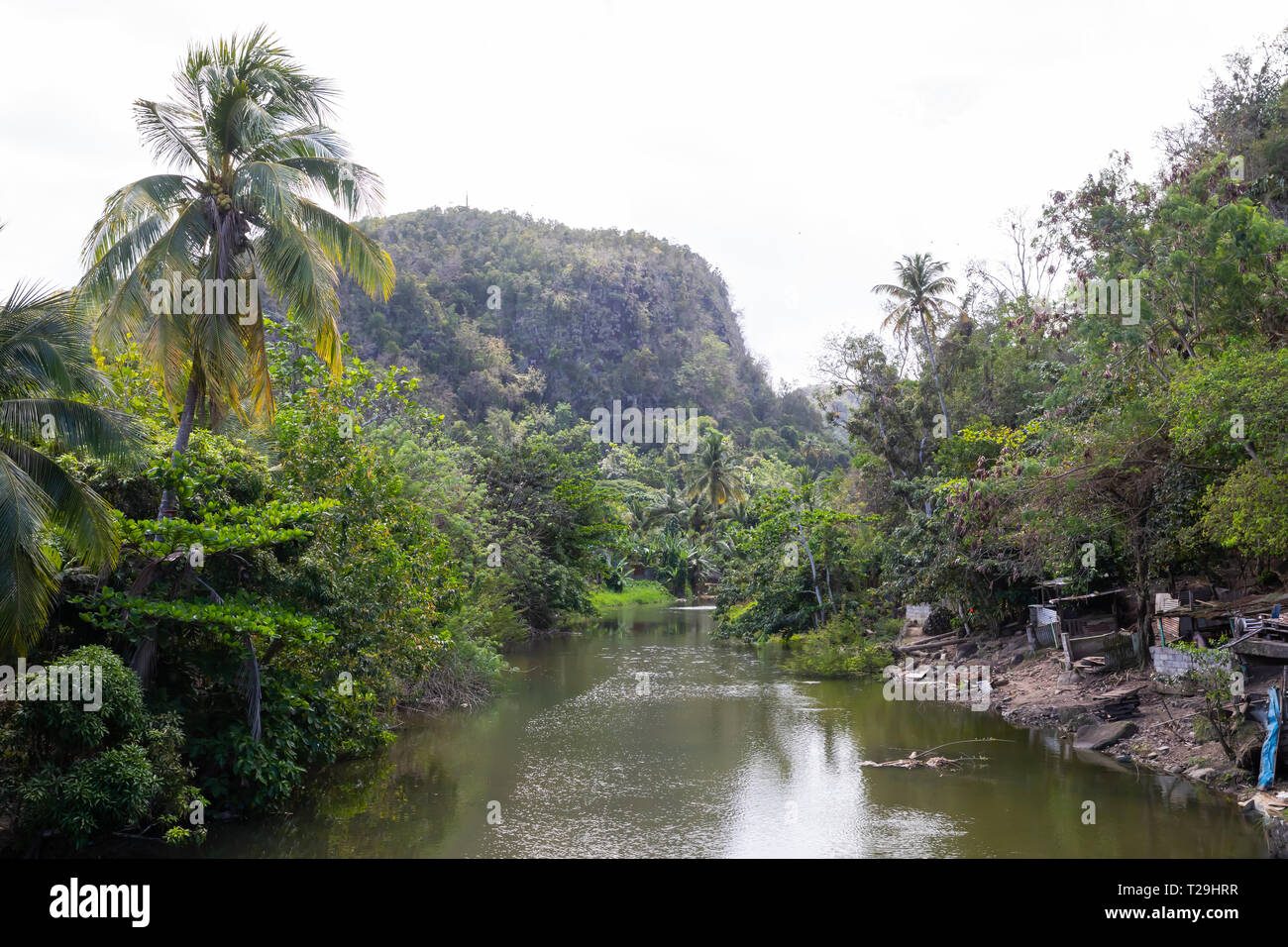 River in St Lucia, The Caribbean Stock Photo - Alamy