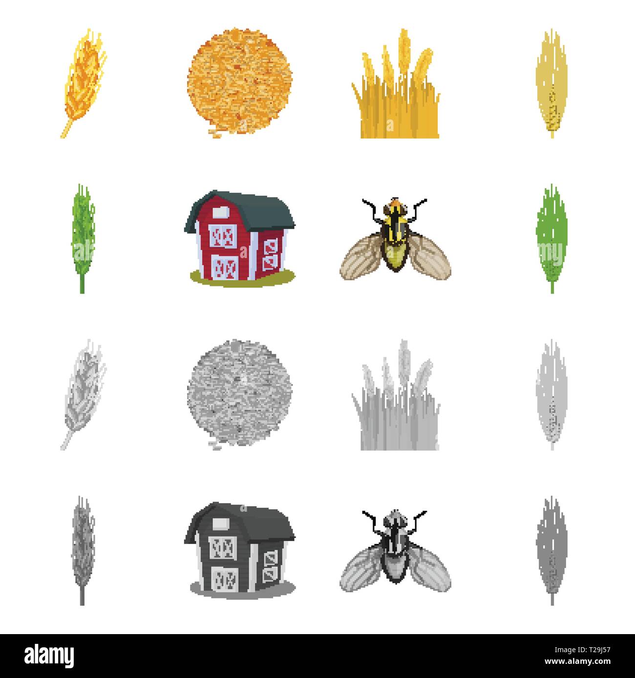 spring,barley,granary,fly,spike,seeds,building,insect,durum,crop,winter ...