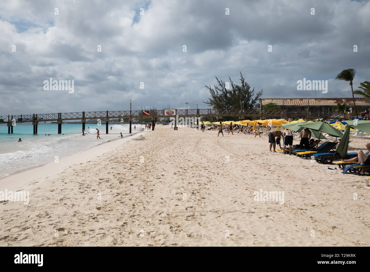 Barbados local barbados locals hi-res stock photography and images - Alamy