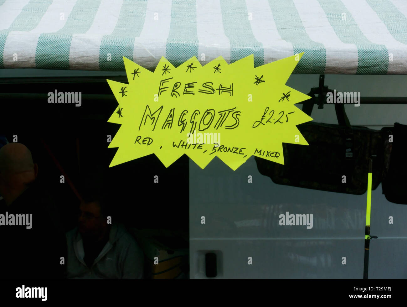 Maggots hi-res stock photography and images - Alamy