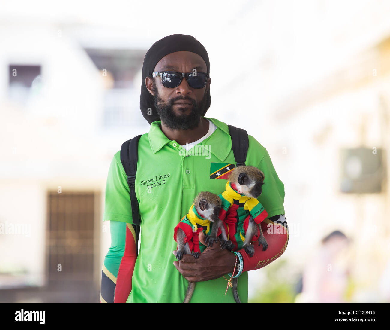 St Kitts And Nevis Animals High Resolution Stock Photography and Images ...