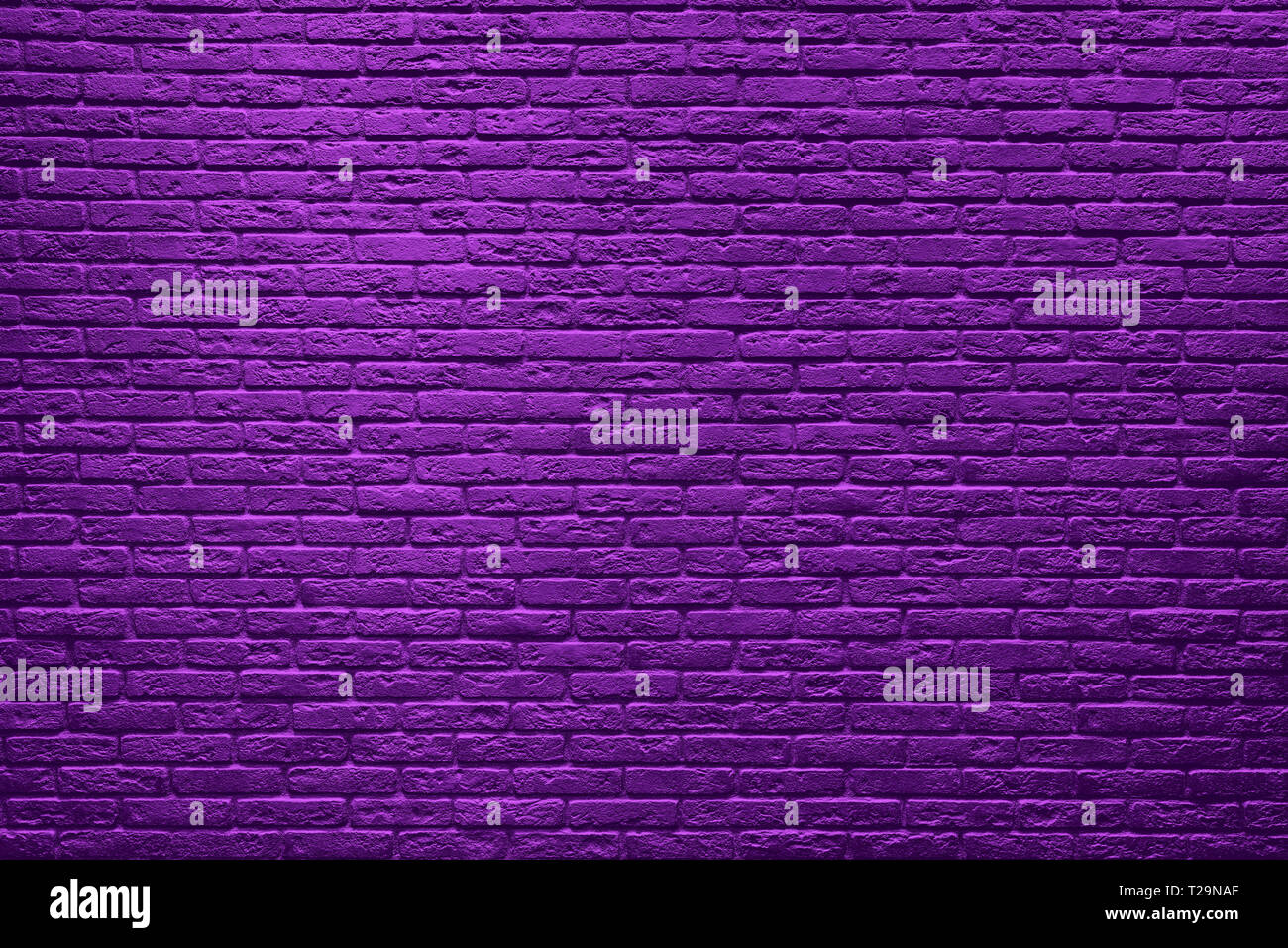 Violet brick wall background. Halloween day background Stock Photo - Alamy