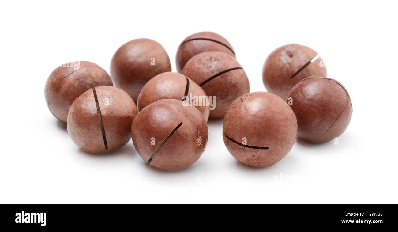 Group of macadamia nuts isolated on white background Stock Photo - Alamy