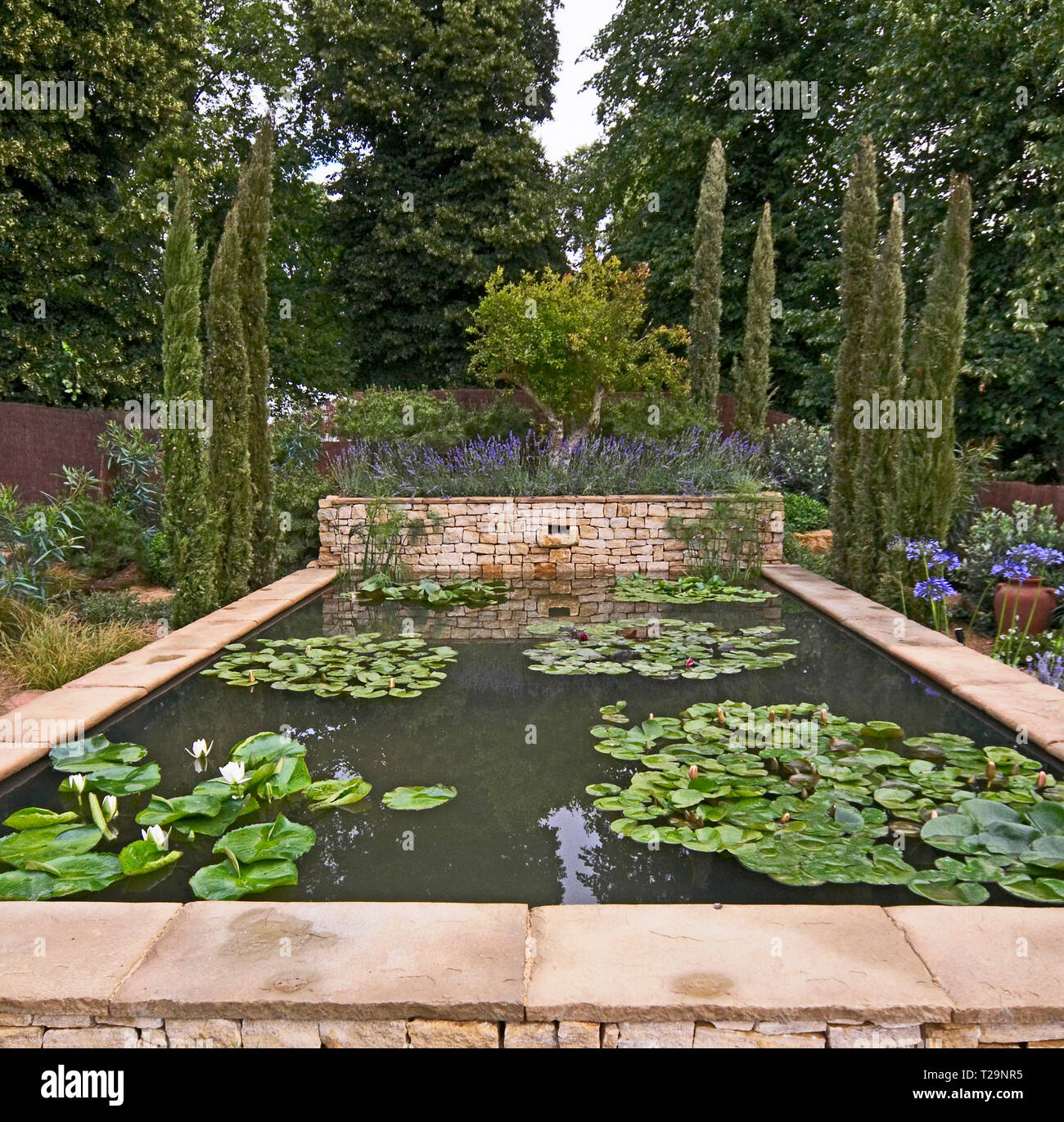 Cyprus trees hi-res stock photography and images - Alamy