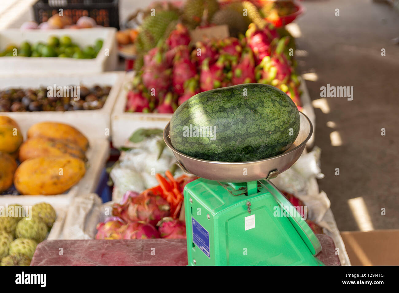 Watermelon on a scale and fruits in background out of focus, picture ...