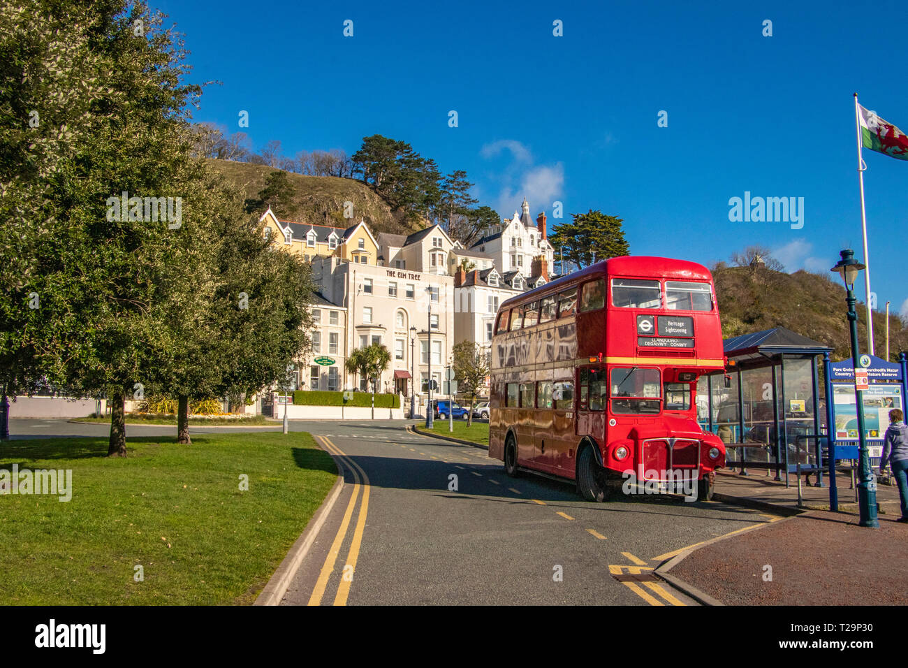 Vintage Routemaster double decker bus on the seafront in Llandudno ...