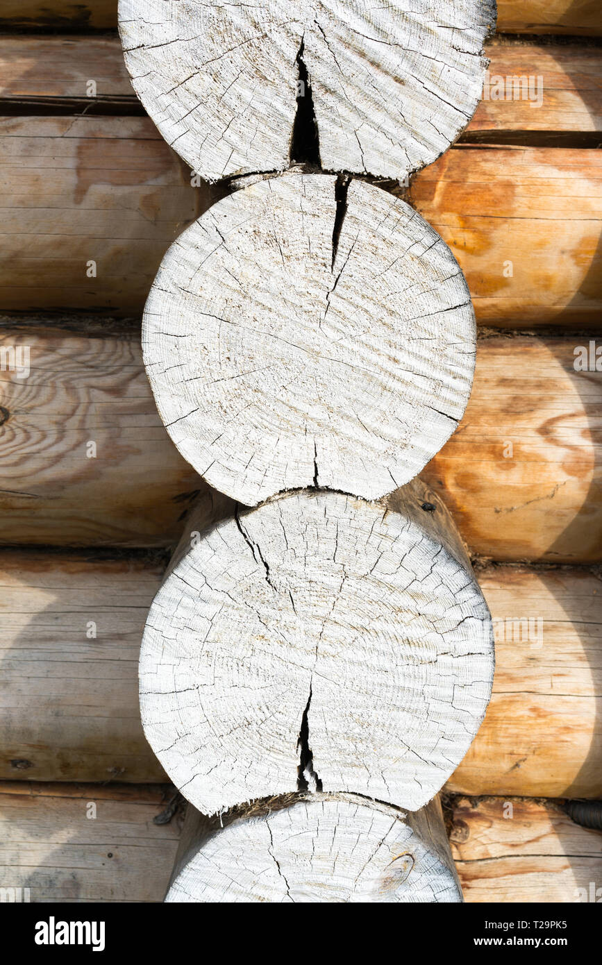 round ends of wooden logs Stock Photo - Alamy