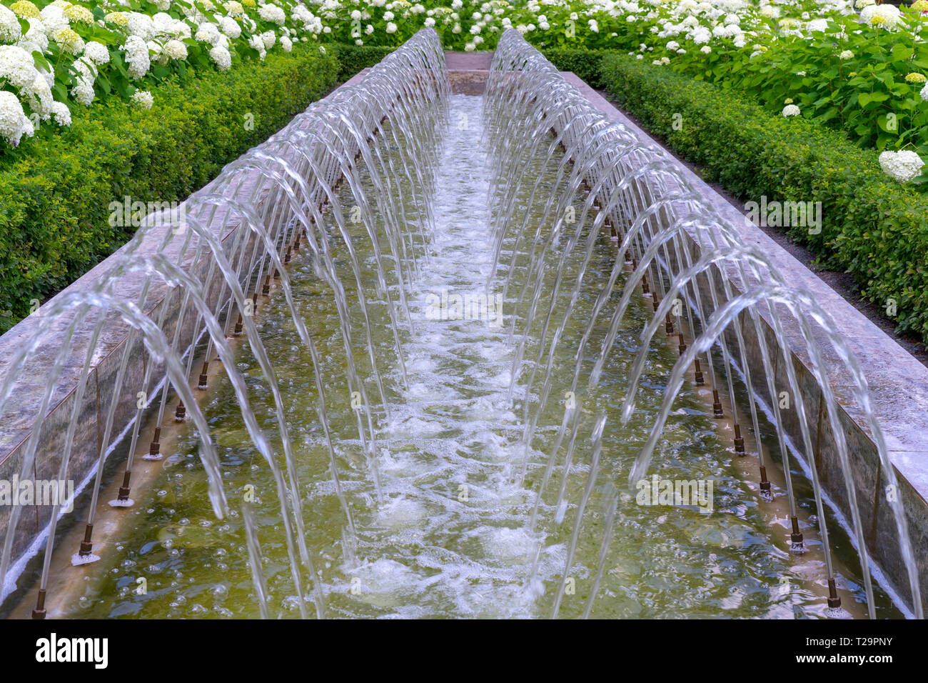 Fountains in city park. Drops of water raising from fountains. Jet of ...
