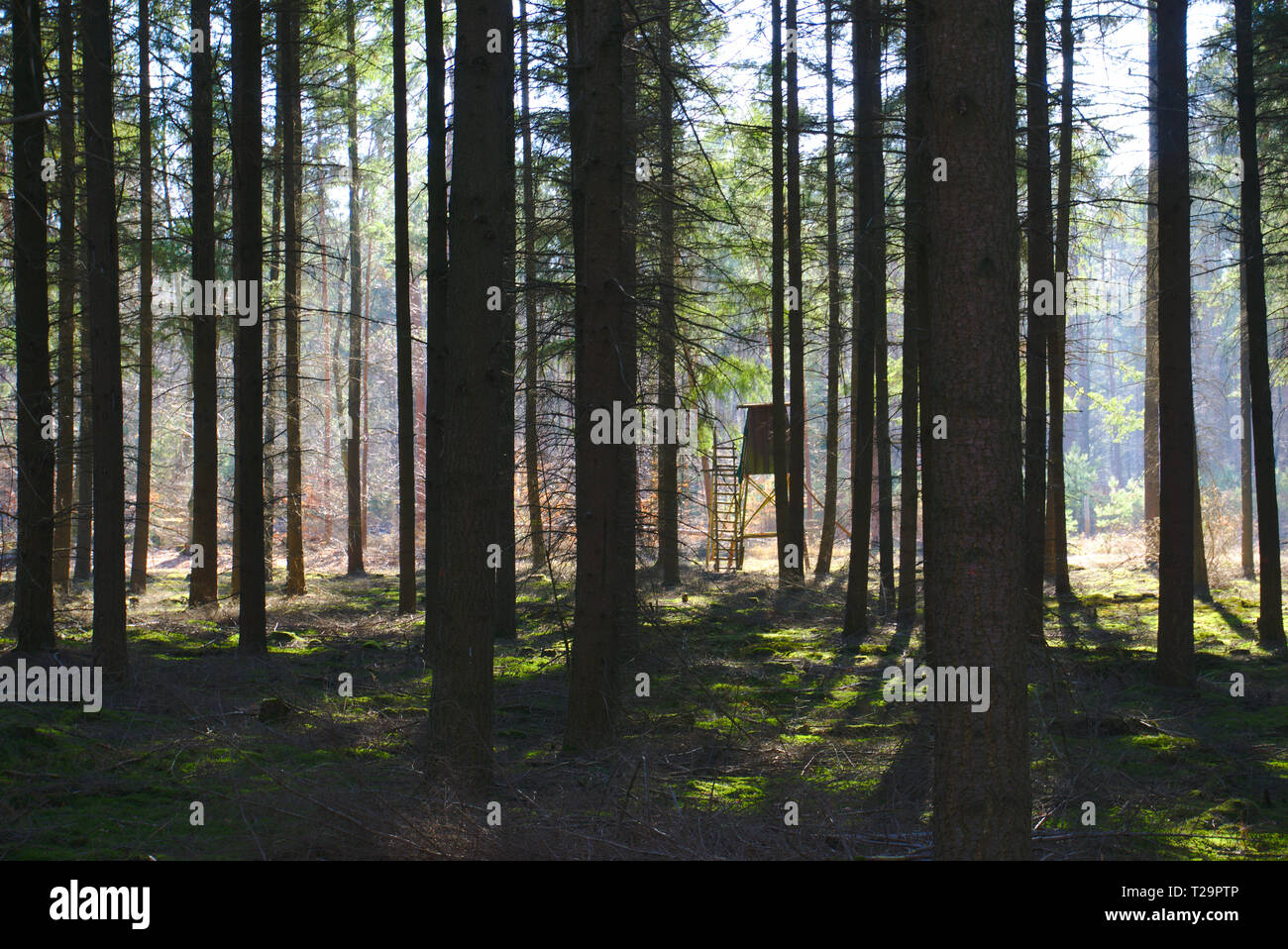 High stand hi-res stock photography and images - Alamy