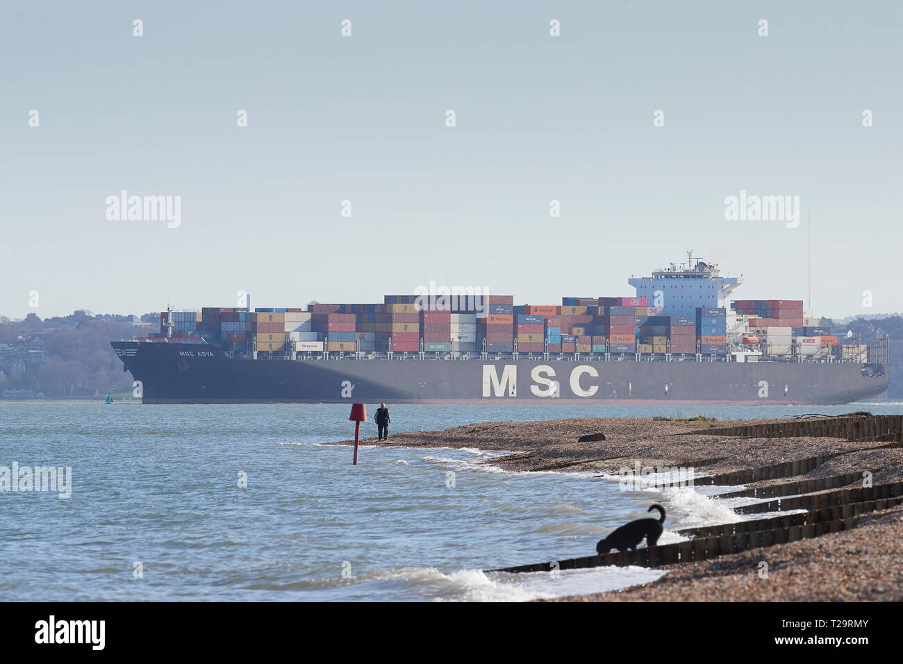 The Container Ship, MSC ASYA, In The Deep Water Channel, North Of The ...