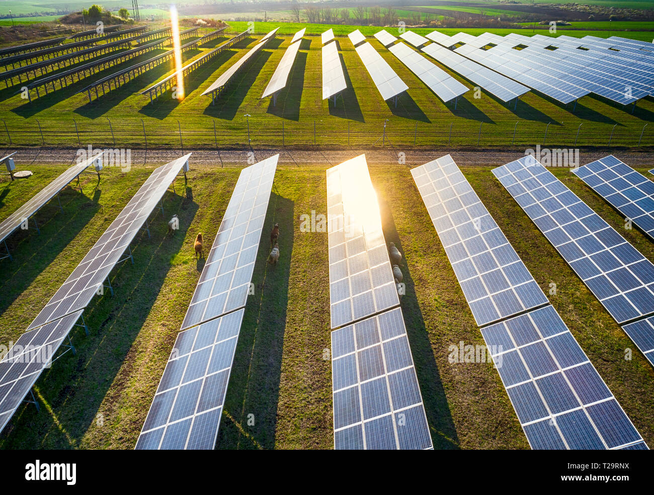 Solar panel produces green, environmentaly friendly energy from the ...