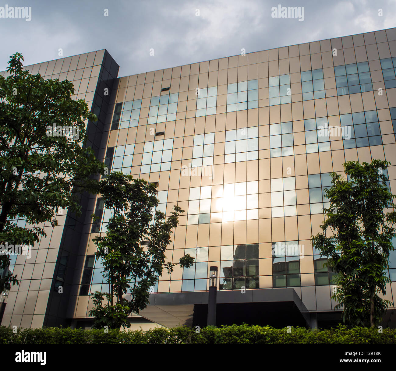 Evening sunlight reflect on glass of modern building Stock Photo - Alamy