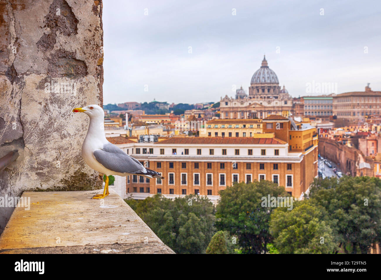 Vatican view hi-res stock photography and images - Alamy