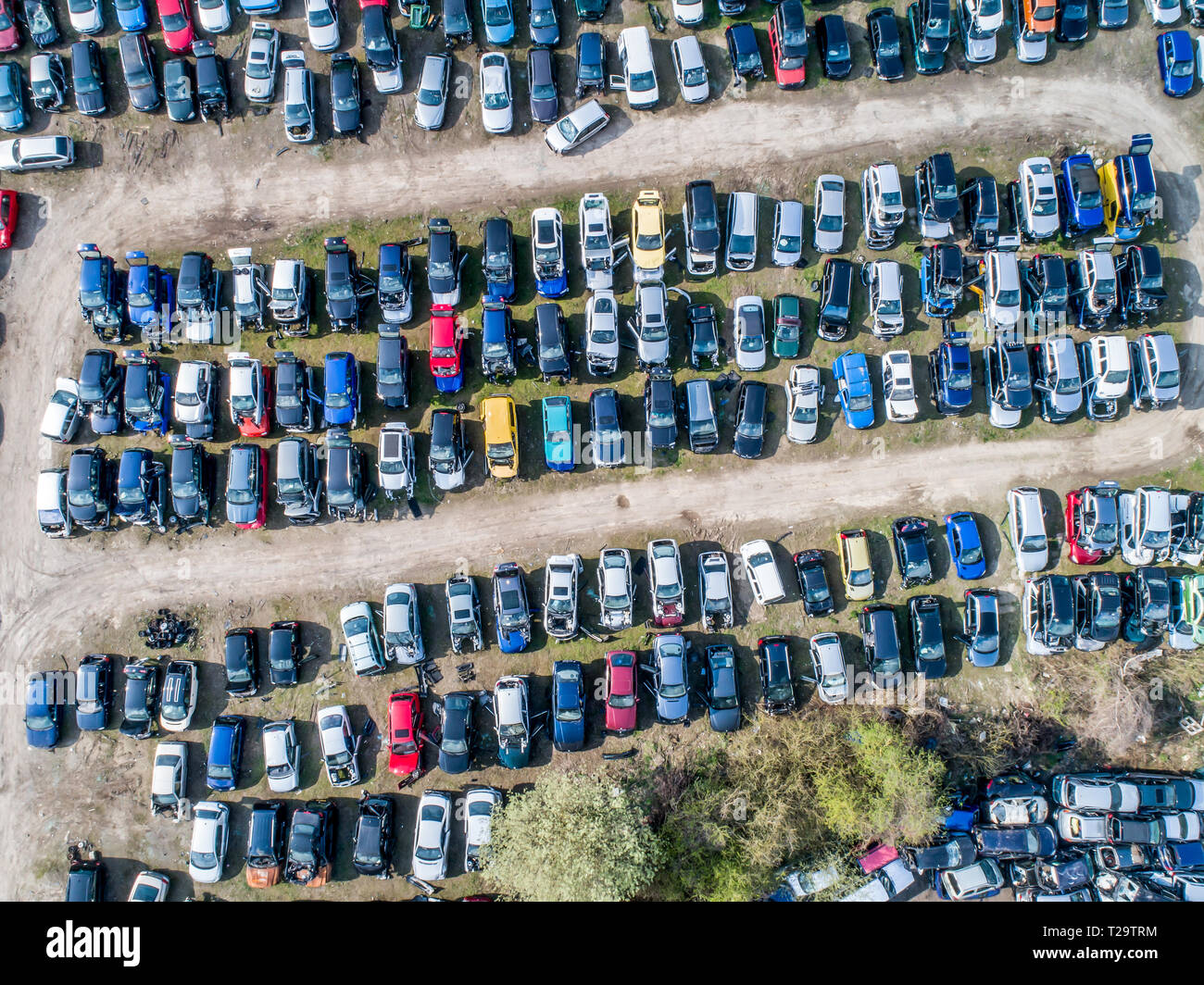 Lines of crushed cars wreck - in scrapyard before being shredded ...