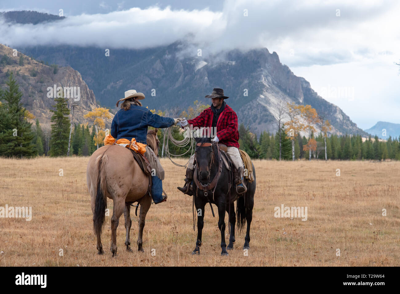 Cowboys of Wyoming, USA Stock Photo - Alamy