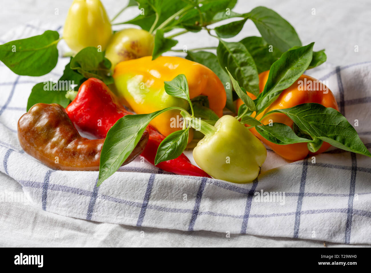 Local pepper hi-res stock photography and images - Alamy