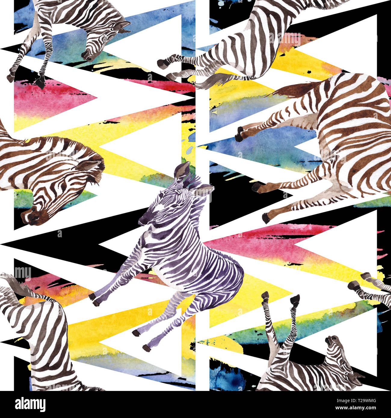 Exotic zebra wild animal in a watercolor style. Watercolor background ...