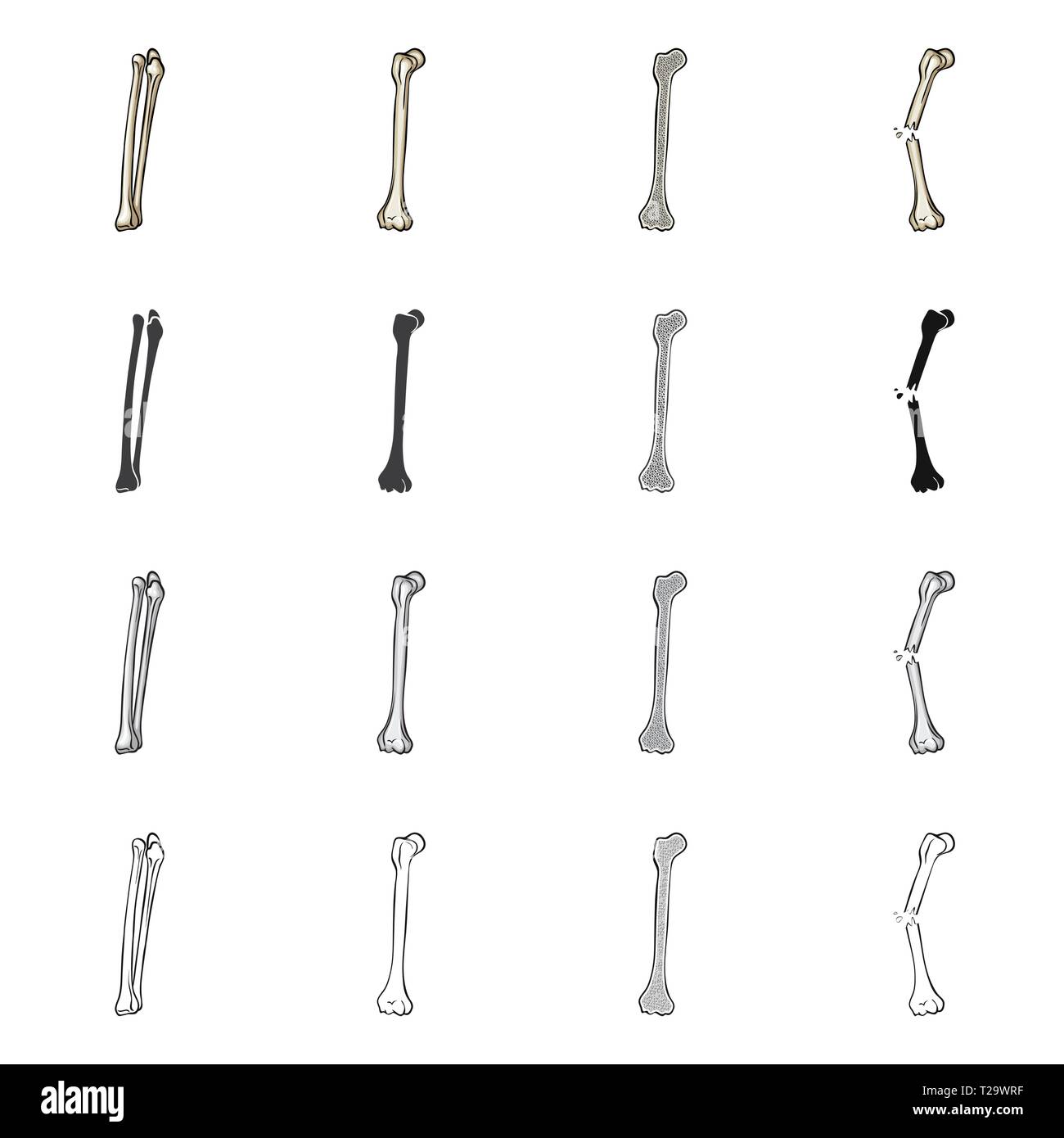 Leg alignment Stock Vector Images - Alamy