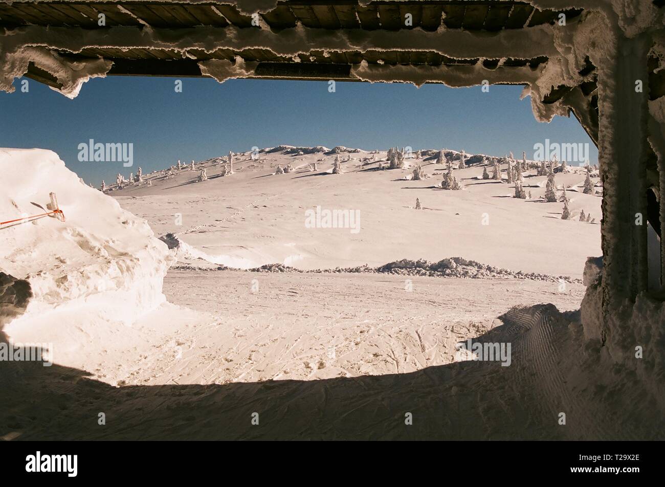 Snowy landscape with natural frame Stock Photo - Alamy