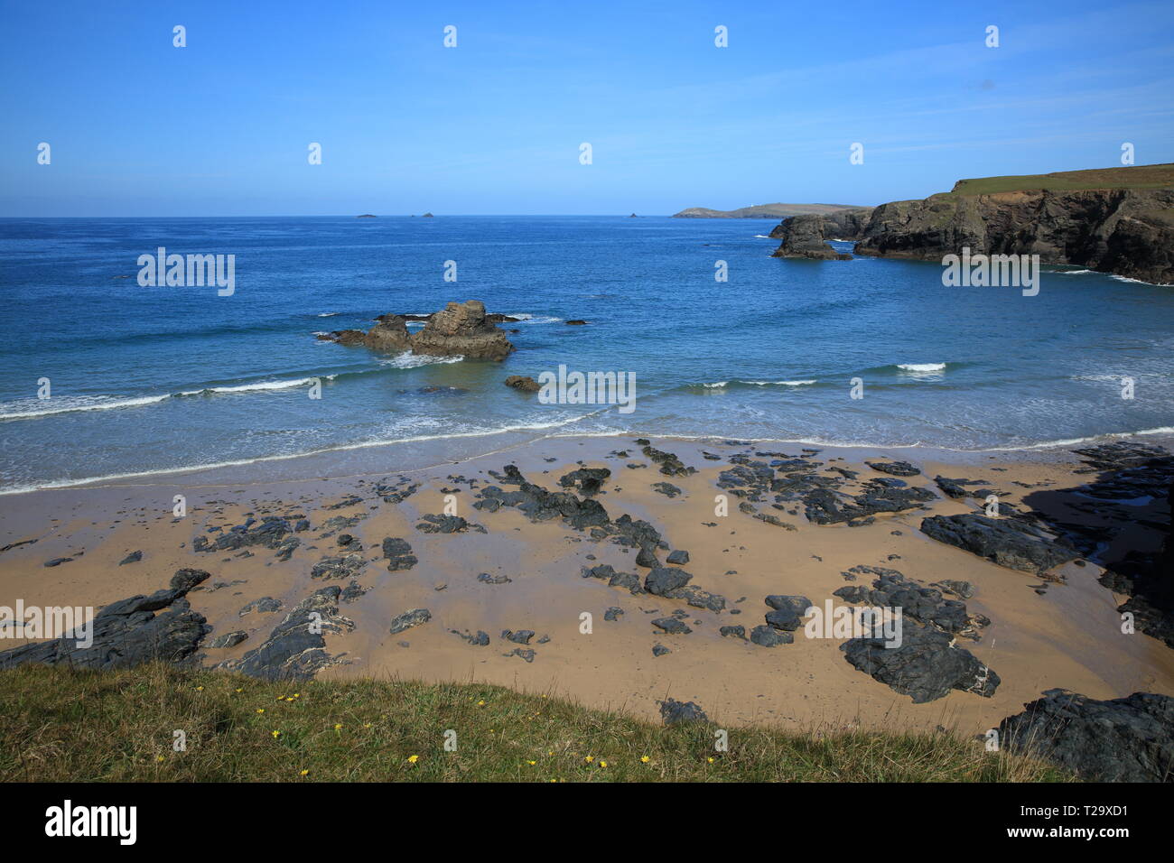 Porthcothan bay, North Cornwall, England, UK Stock Photo - Alamy