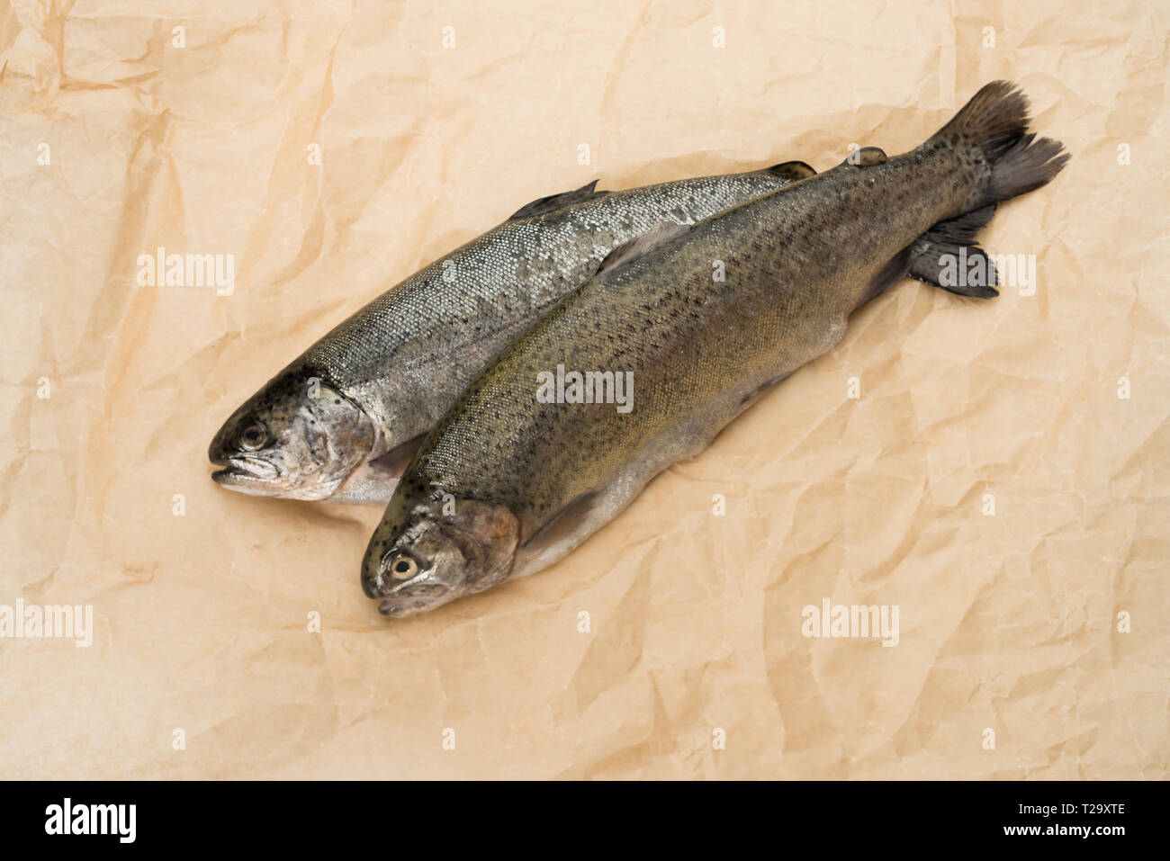 Purified fish on craft paper. Rainbow trout gutted Stock Photo - Alamy
