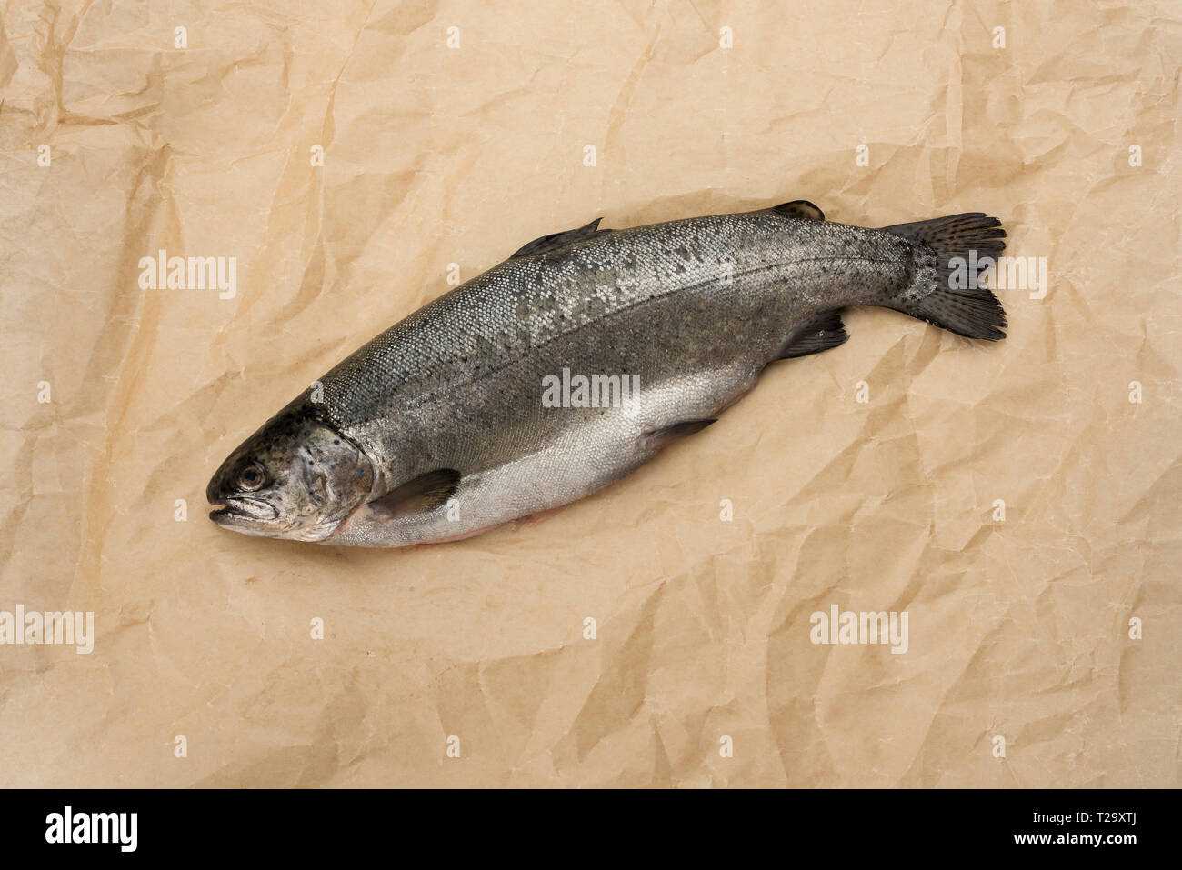 Purified fish on craft paper. Rainbow trout gutted Stock Photo - Alamy