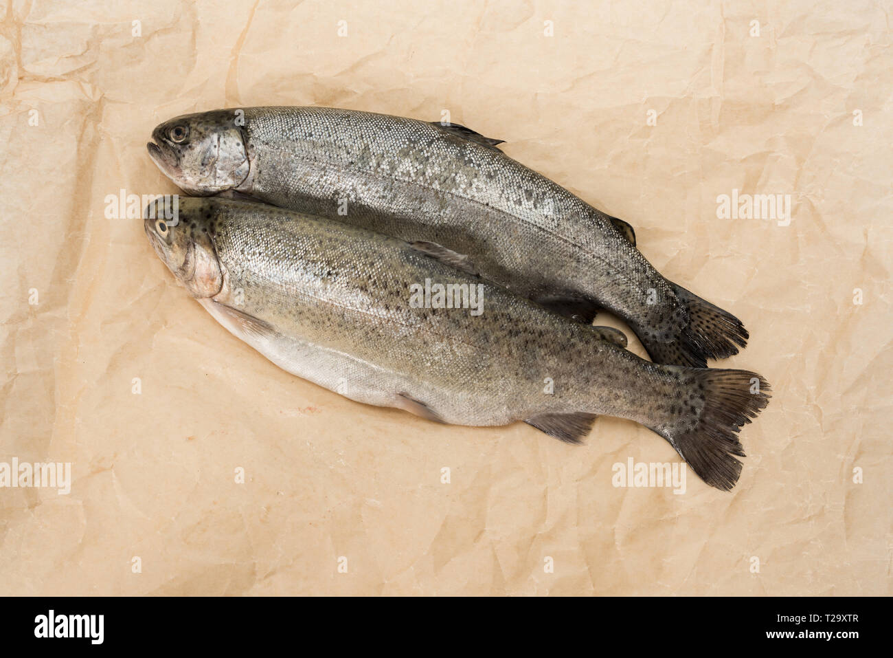 Purified fish on craft paper. Rainbow trout gutted Stock Photo - Alamy