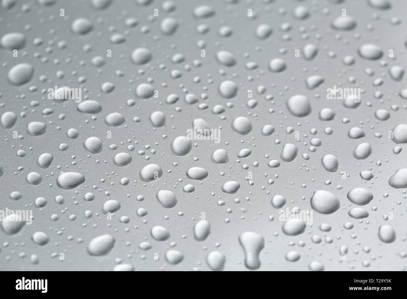 Shiny Water Droplets Stock Photo - Alamy