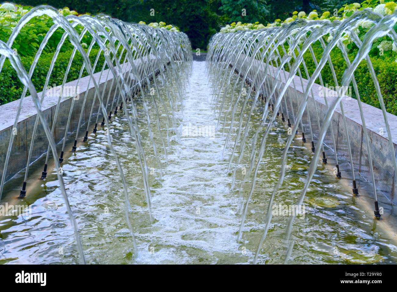Fountains in city park. Drops of water raising from fountains. Jet of ...