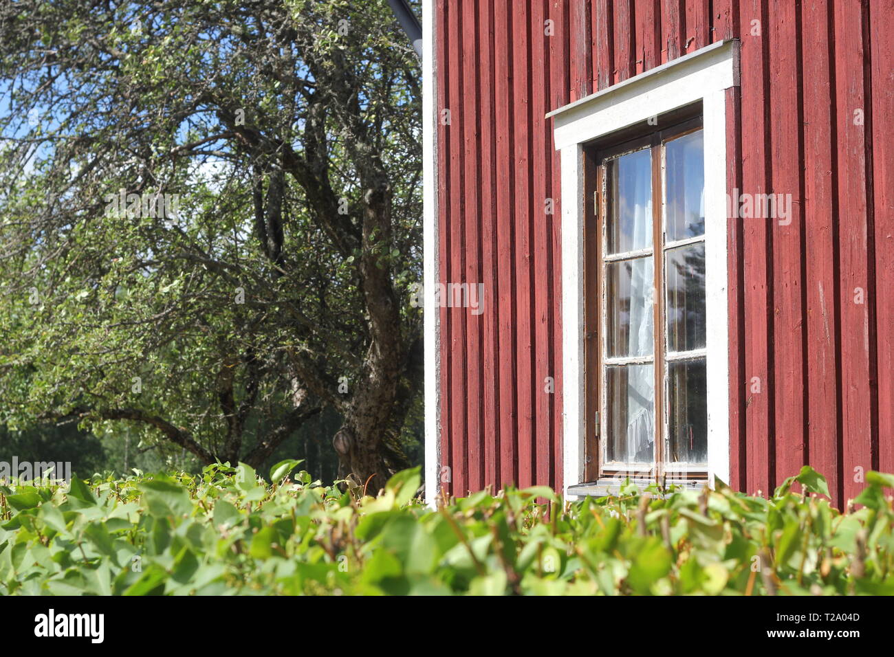 A window on a red wooden house in summer. Summer vacation Stock Photo ...