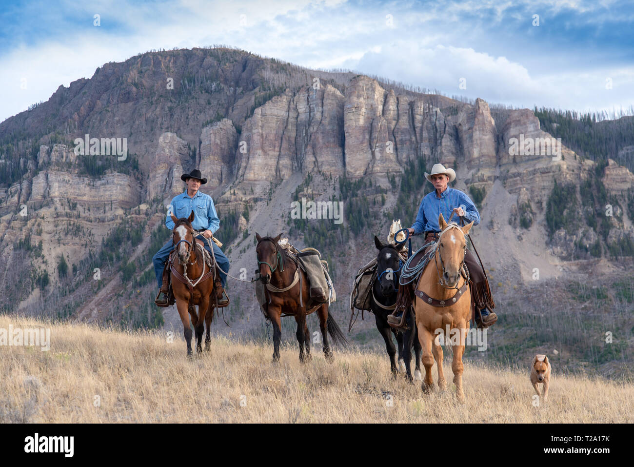 Two Cowboys Riding Horses High Resolution Stock Photography and Images ...