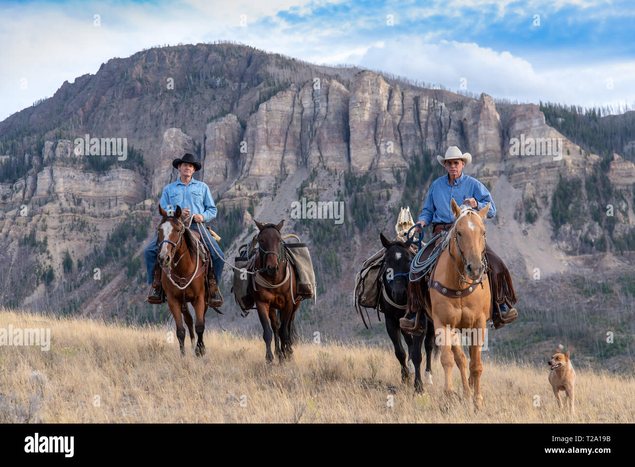 Two cowboys riding horses hi-res stock photography and images - Alamy