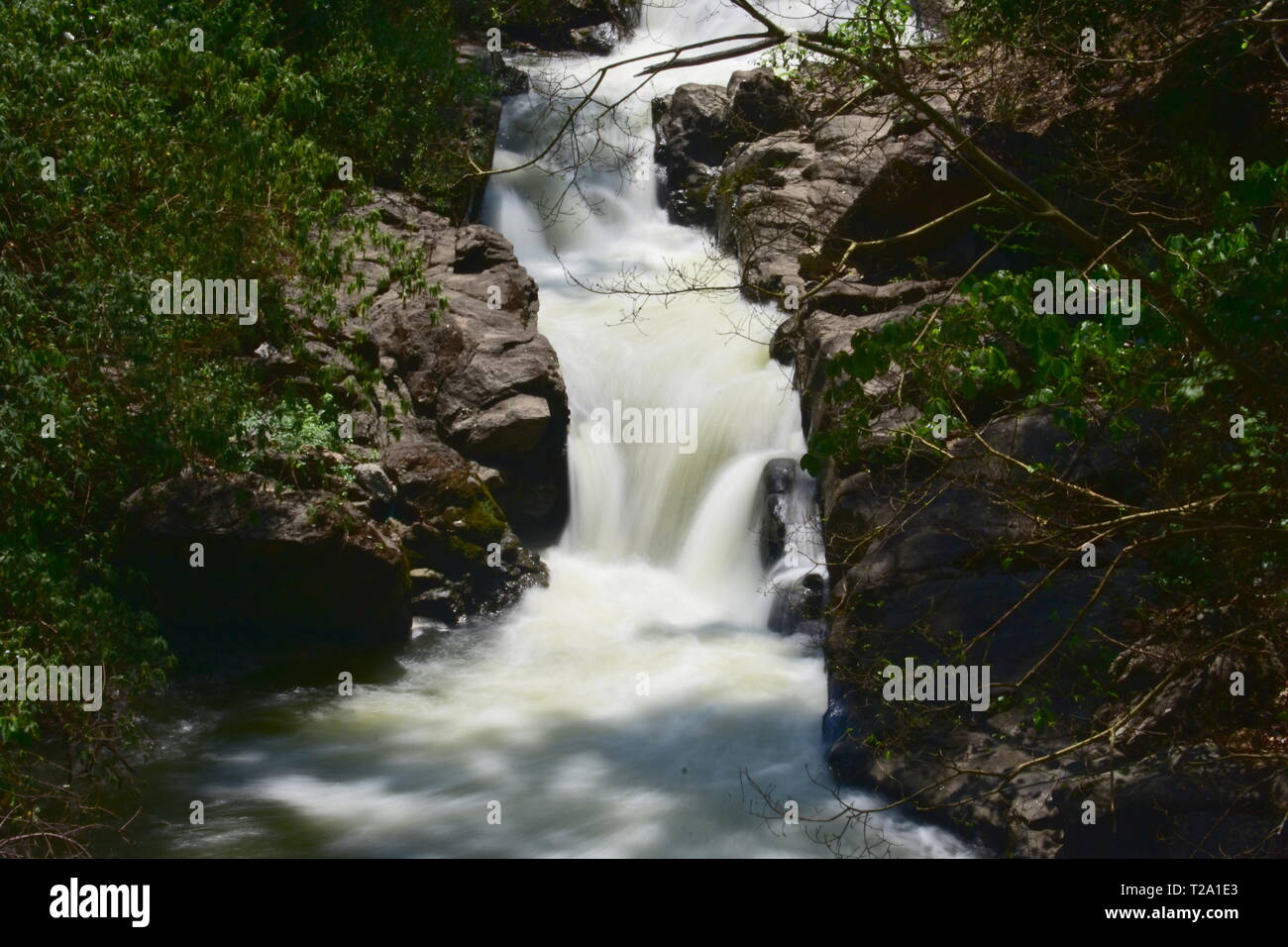 Kumily Waterfalls in Tamilnadu Stock Photo - Alamy