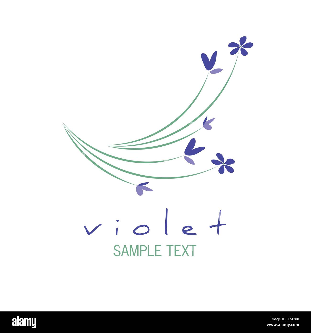 Bouquet of wild violets isolated on white background Stock Vector Image ...