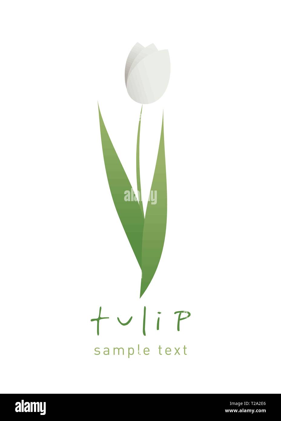 Simple and stylized tulip flower isolated on white background Stock ...