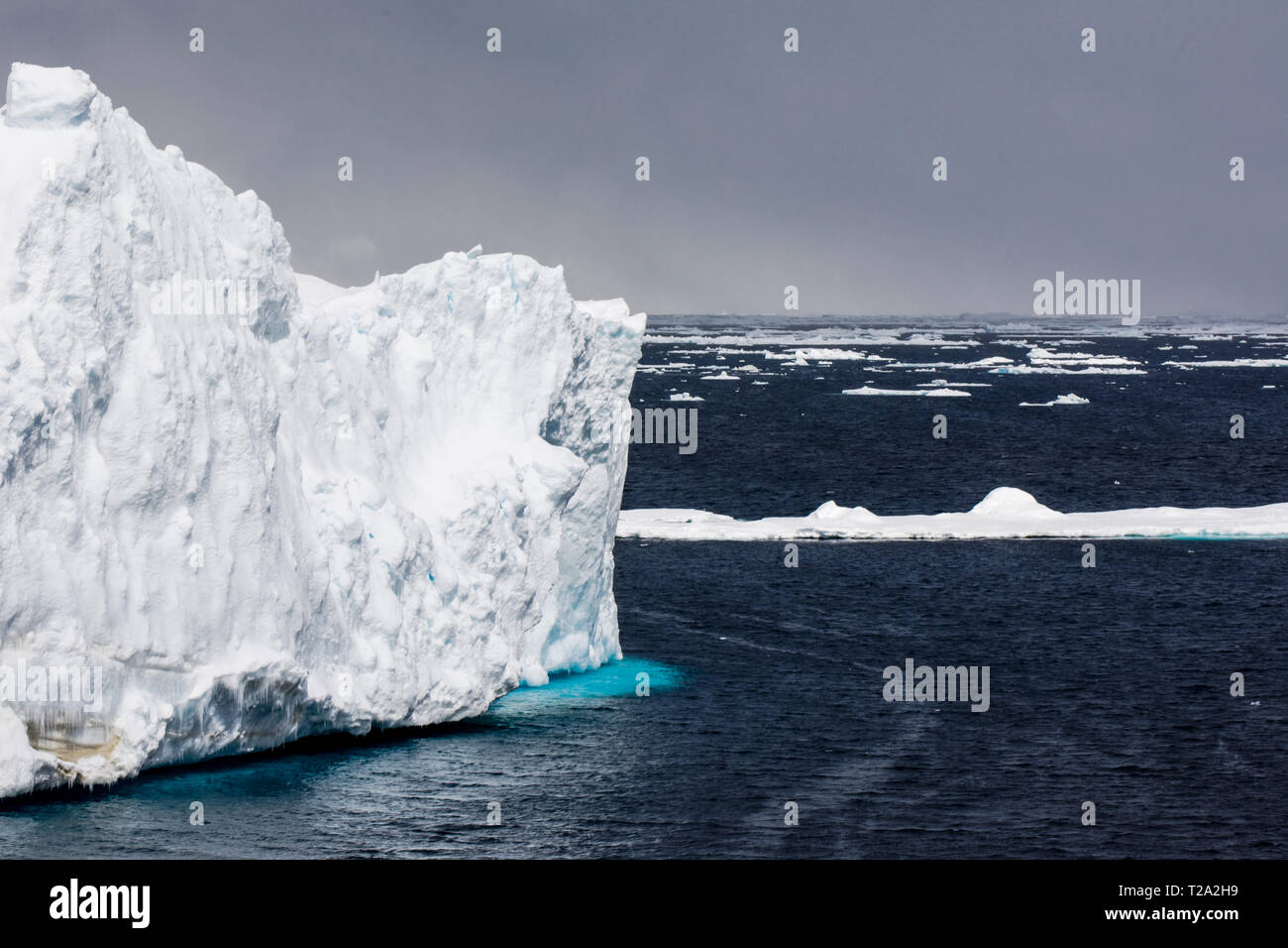 Weddell meer hi-res stock photography and images - Alamy