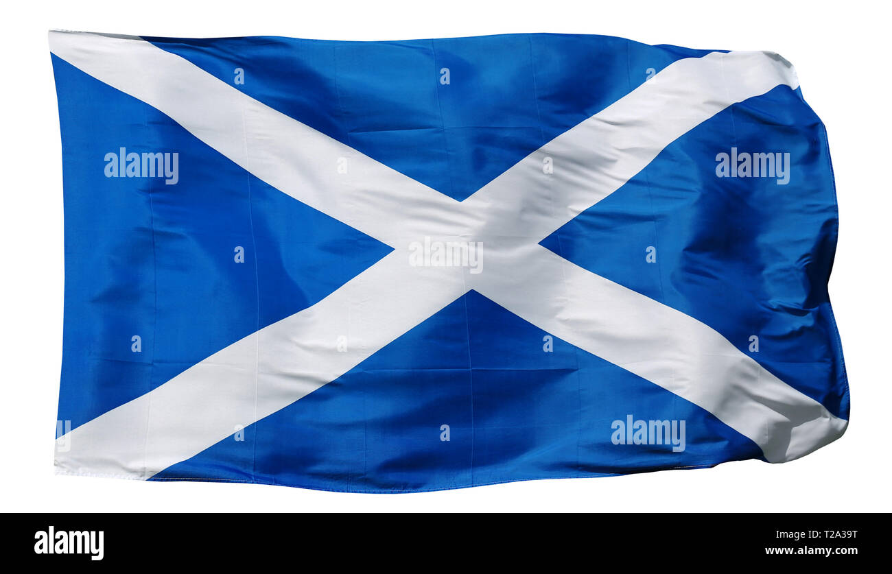 Flag of Scotland - isolated on white background Stock Photo - Alamy
