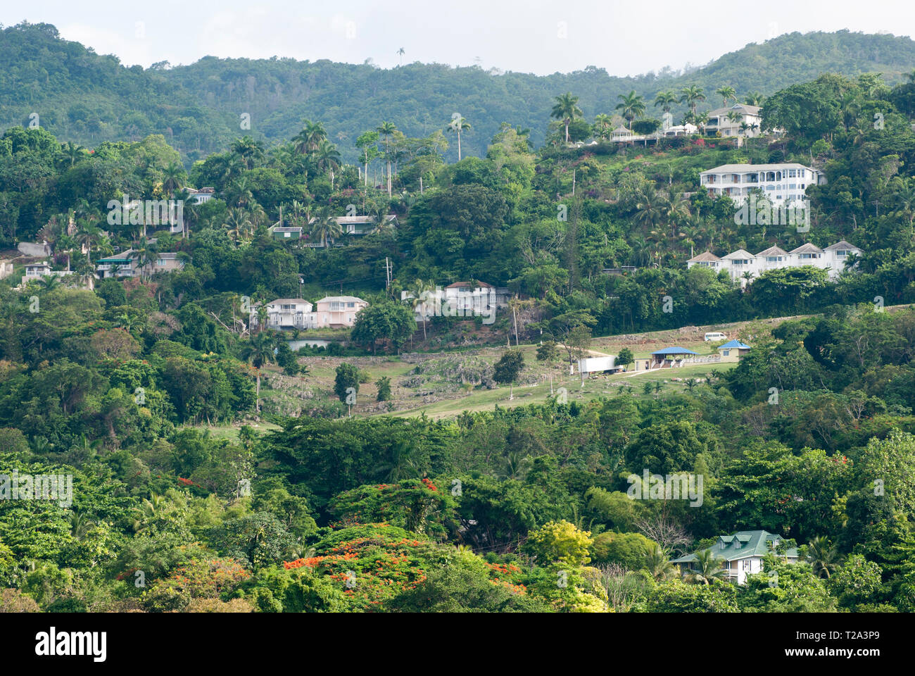 The residential district view in Ocho Rios resort town (Jamaica Stock ...