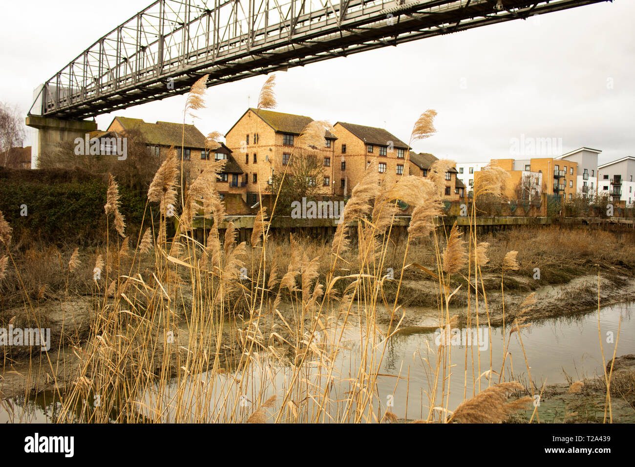 River Darent in Dartford Stock Photo - Alamy