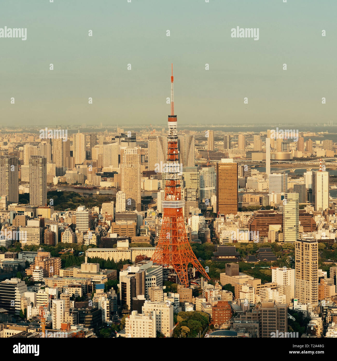 Tokyo Tower and urban skyline rooftop view at sunset, Japan Stock Photo ...