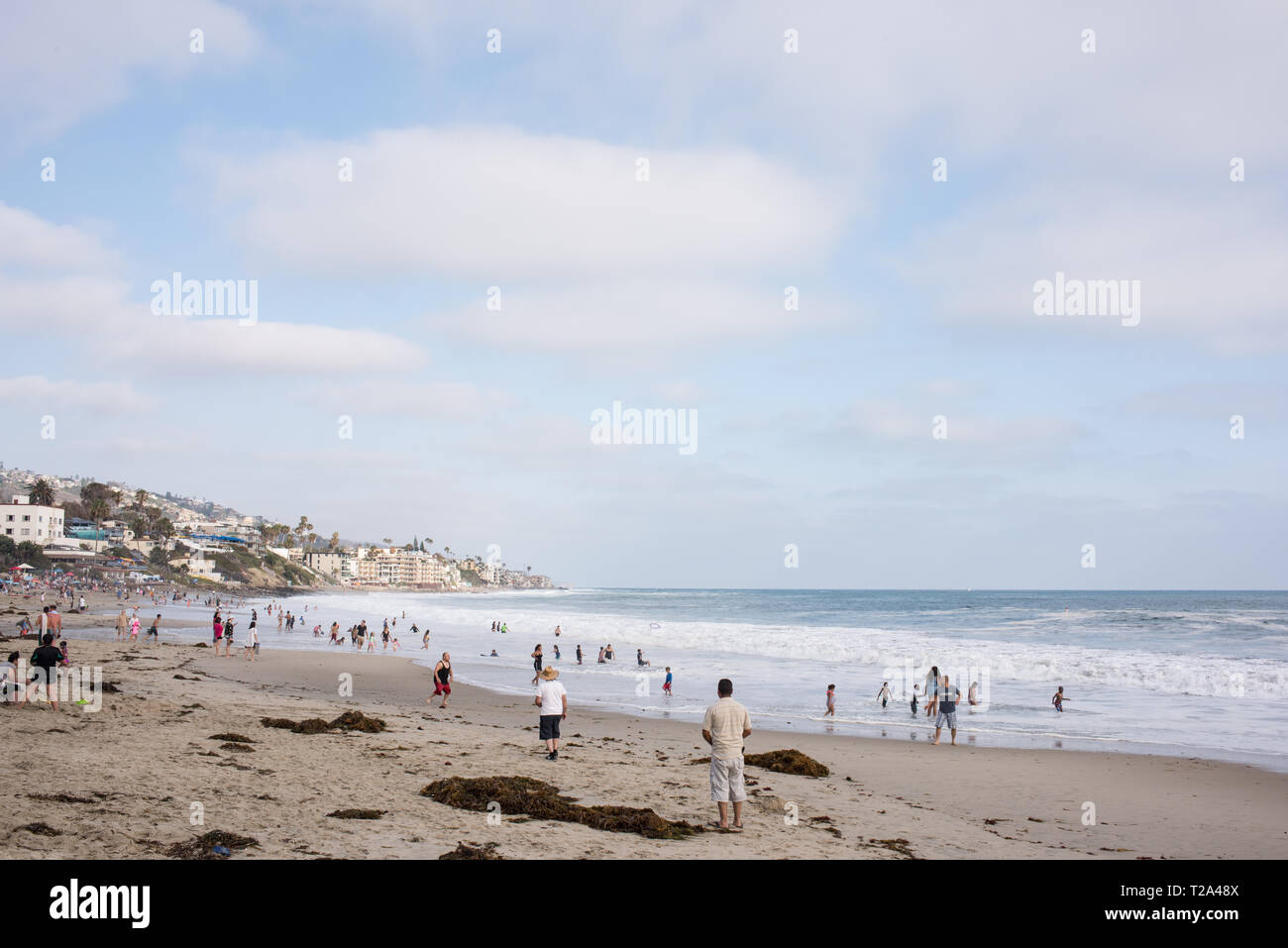 Frolicking Beach Stock Photos & Frolicking Beach Stock Images - Alamy