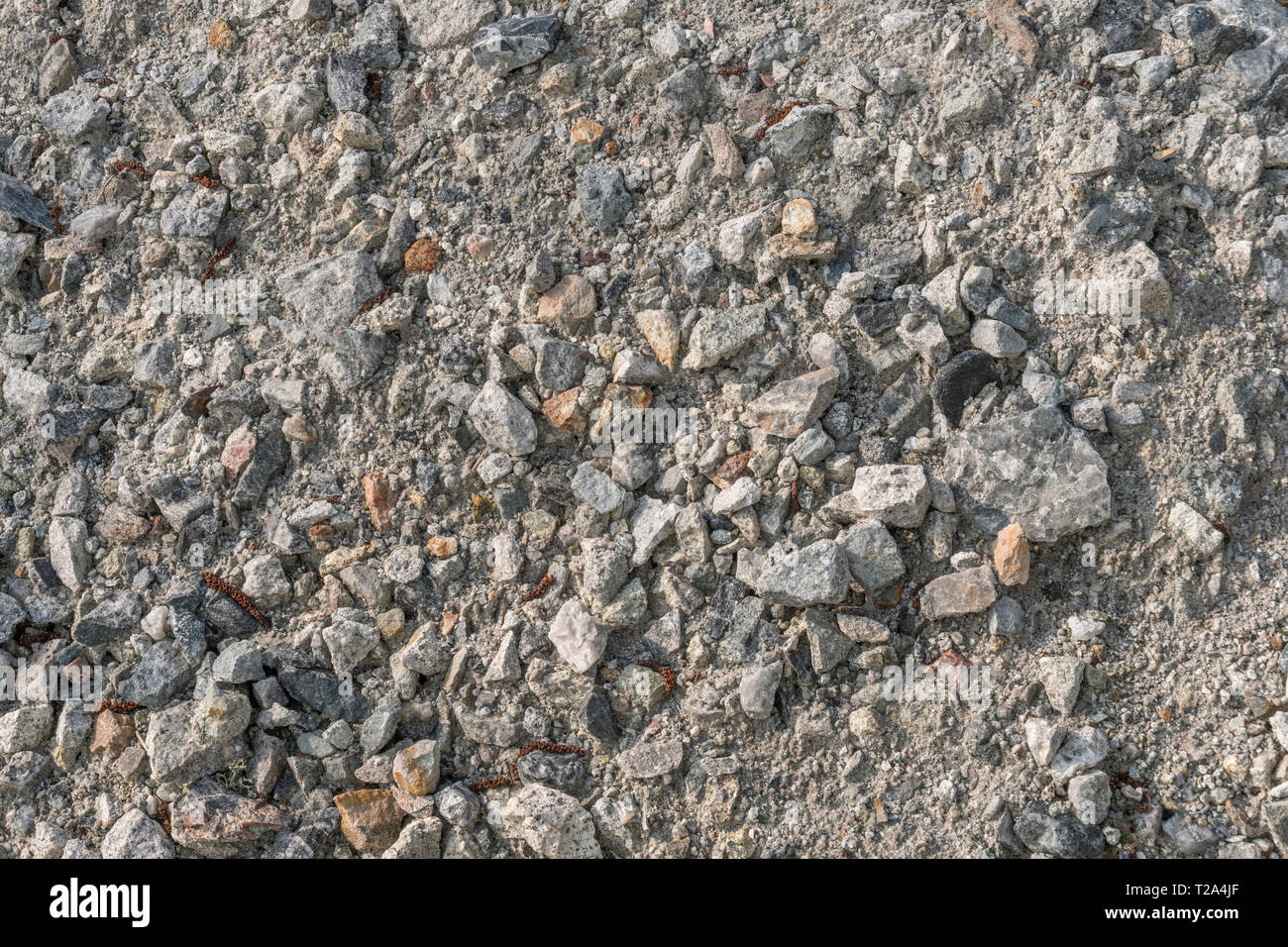 Hardcore hi-res stock photography and images - Alamy